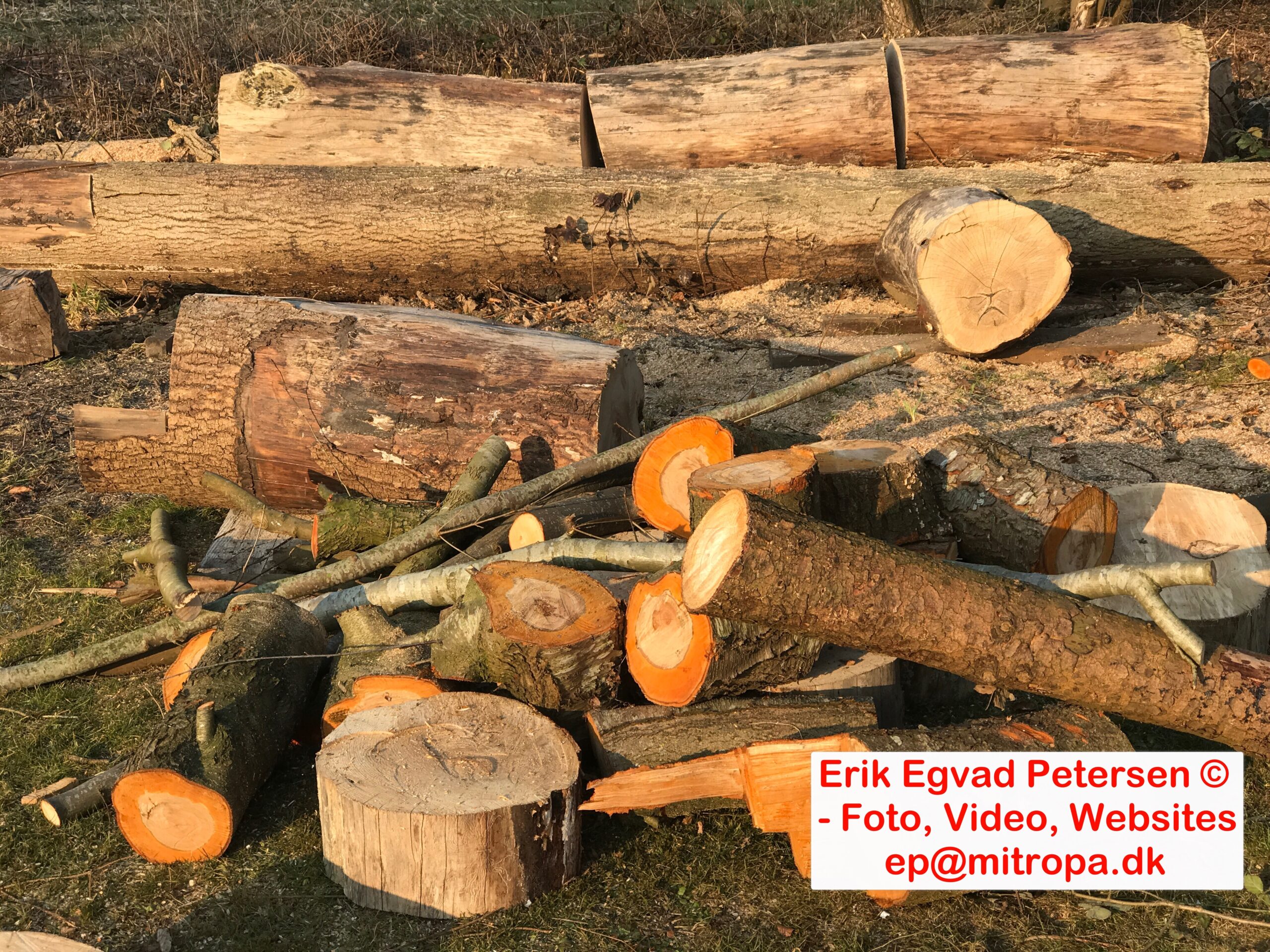 Ikke mere vrøvl om brændeovne og brænde - Sydnyt.dk - GRATIS lokale ...