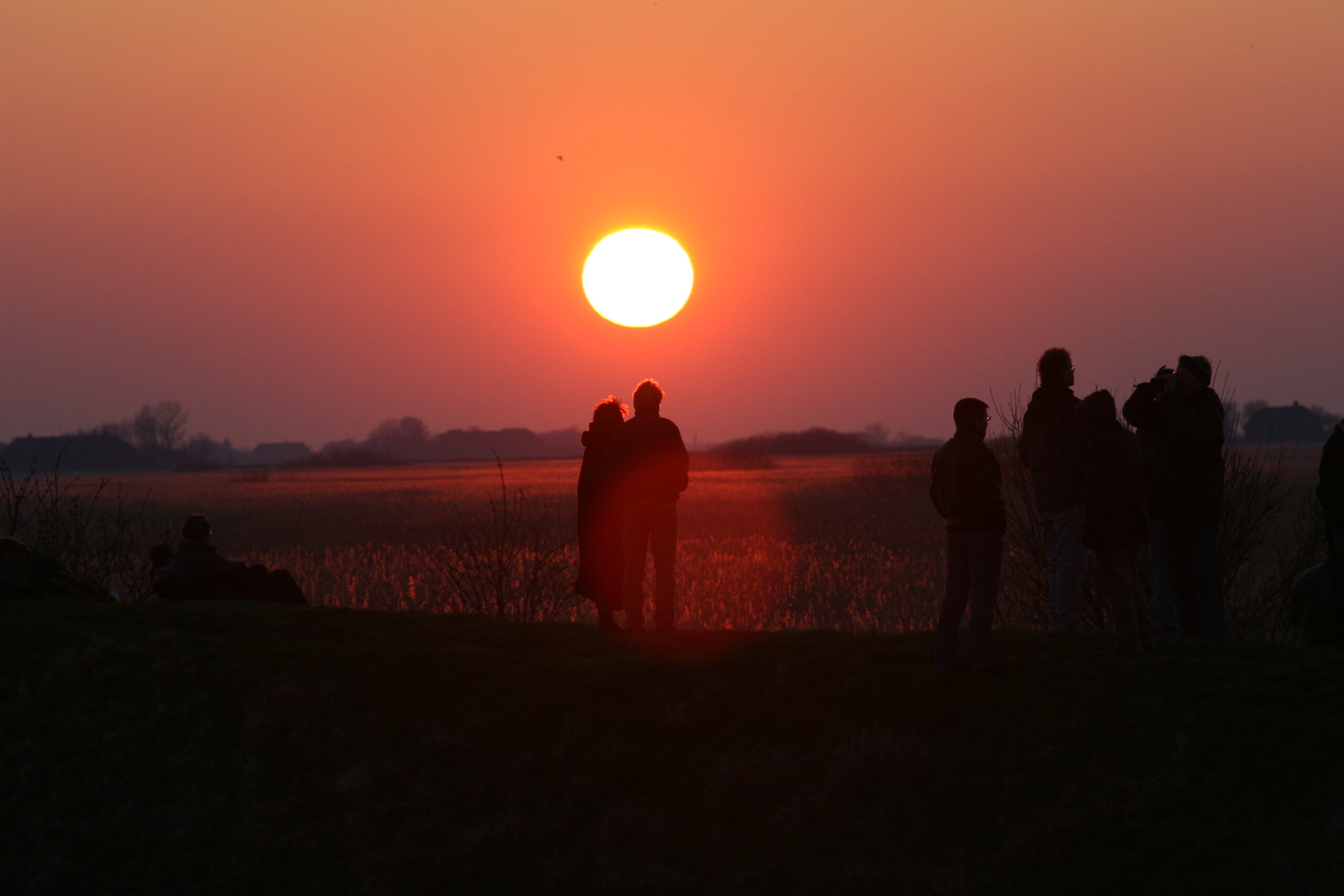Sort Sol - Danmarks største naturfænomen - oplev det lige nu - Sydnyt ...