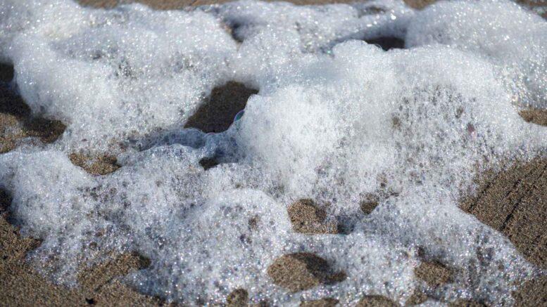 Første resultater af PFAS i badevand og havskum - undgå kontakt med havskum - Sydnyt.dk - GRATIS ...