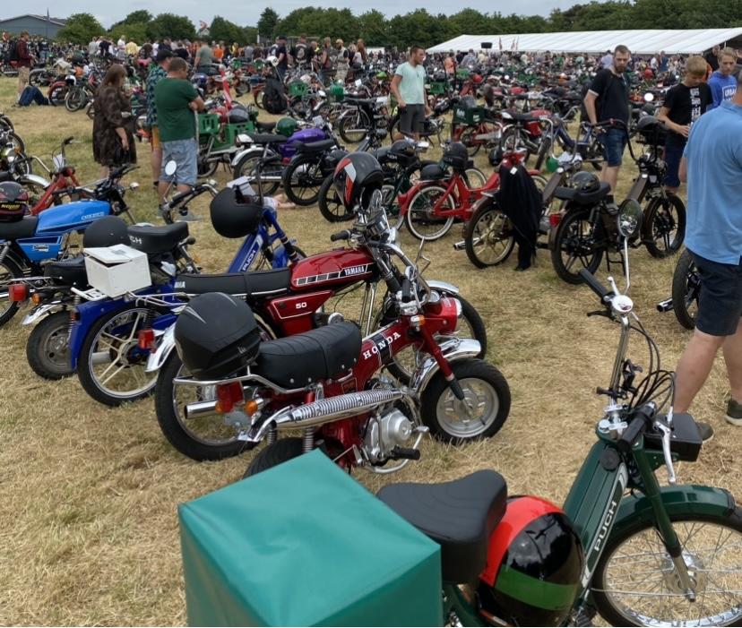 SE VIDEO: Fole Knallerttræf 2023 - Danmarks største med 1.440 ...