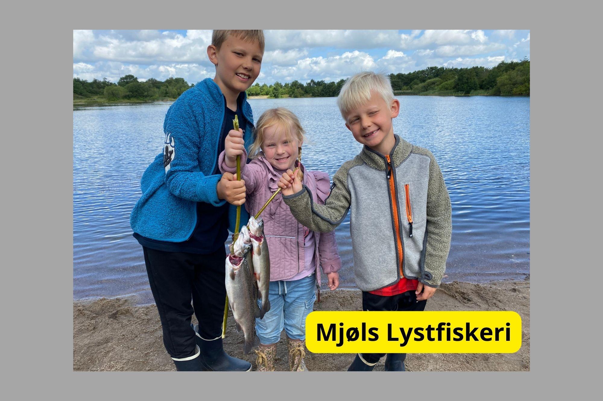Mjøls Lystfiskeri Rødekro: - De huggede på orm - Sydnyt.dk - GRATIS ...