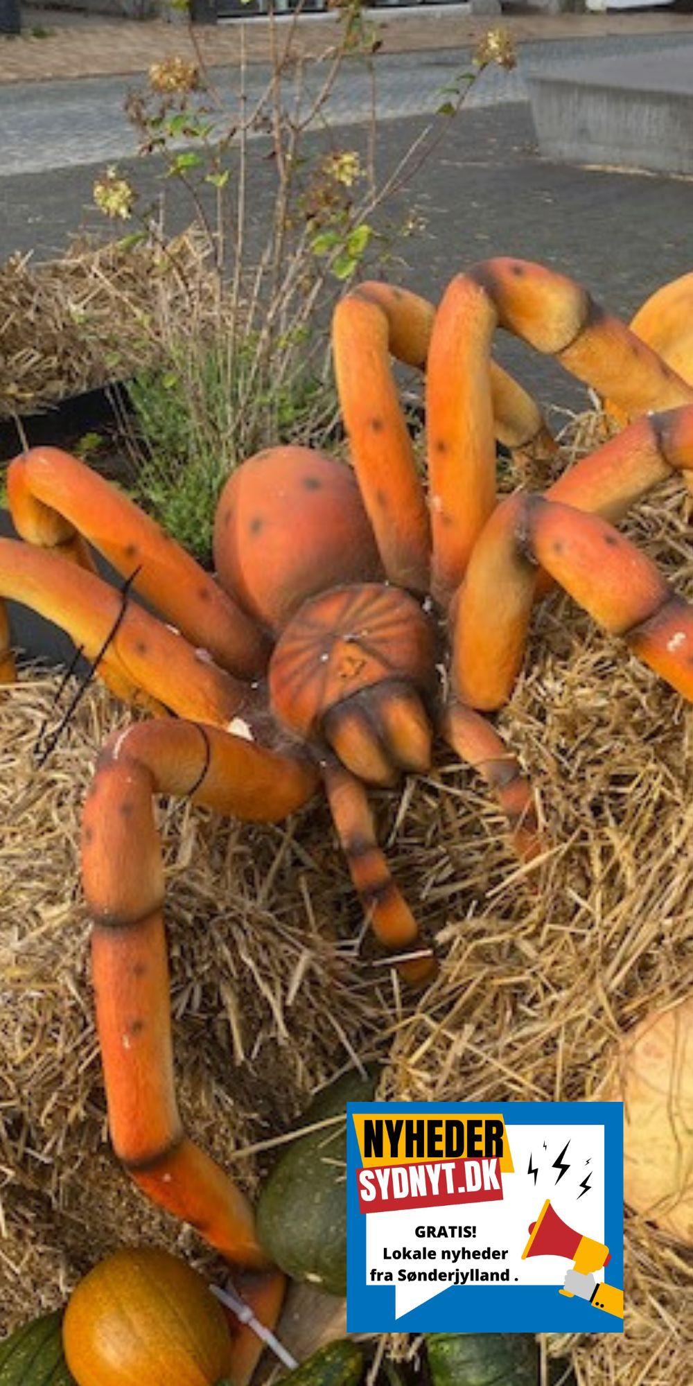 Edderkopper har invaderet sønderjysk by - Sydnyt.dk - GRATIS lokale ...