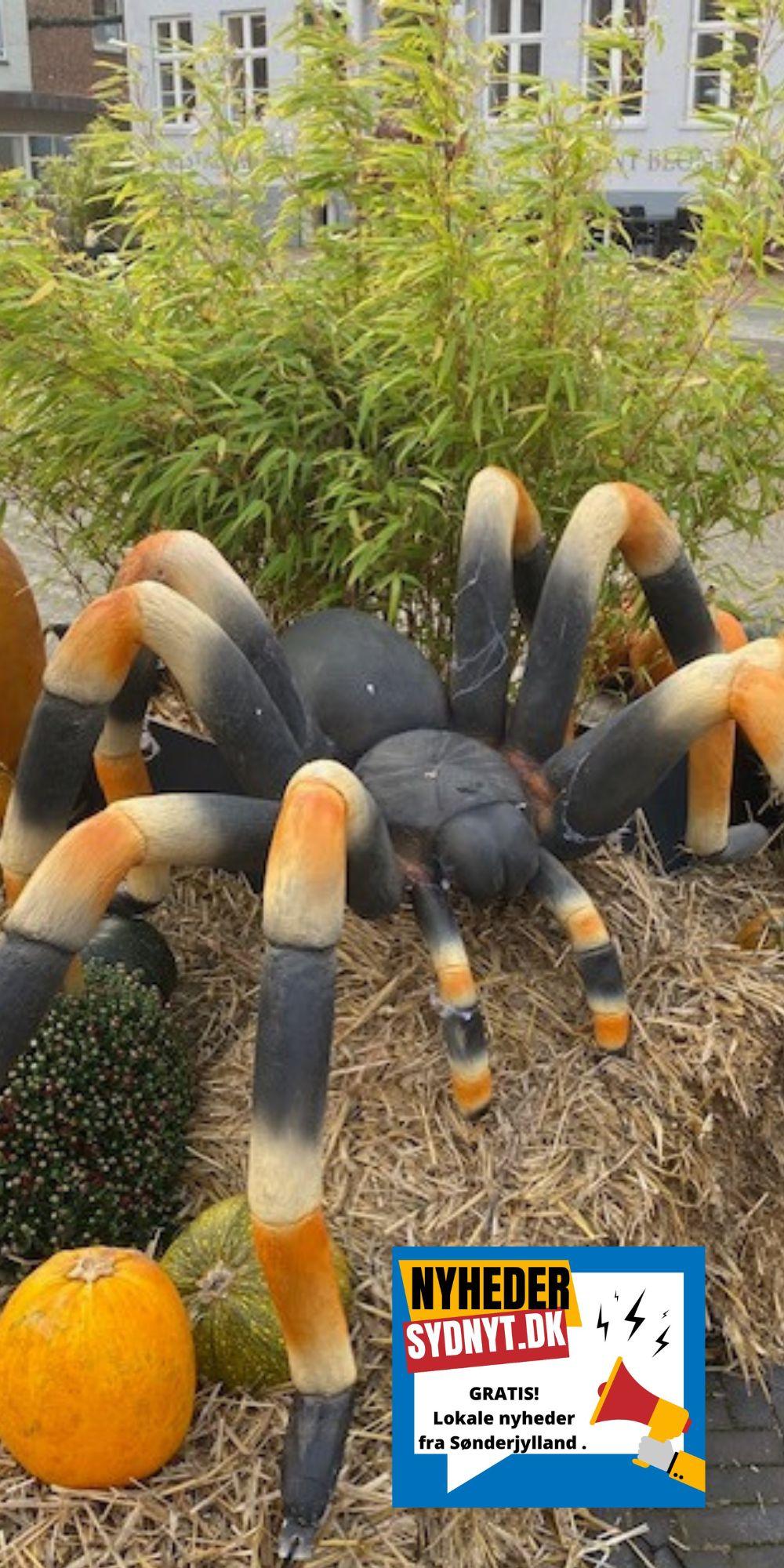 Edderkopper har invaderet sønderjysk by - Sydnyt.dk - GRATIS lokale ...