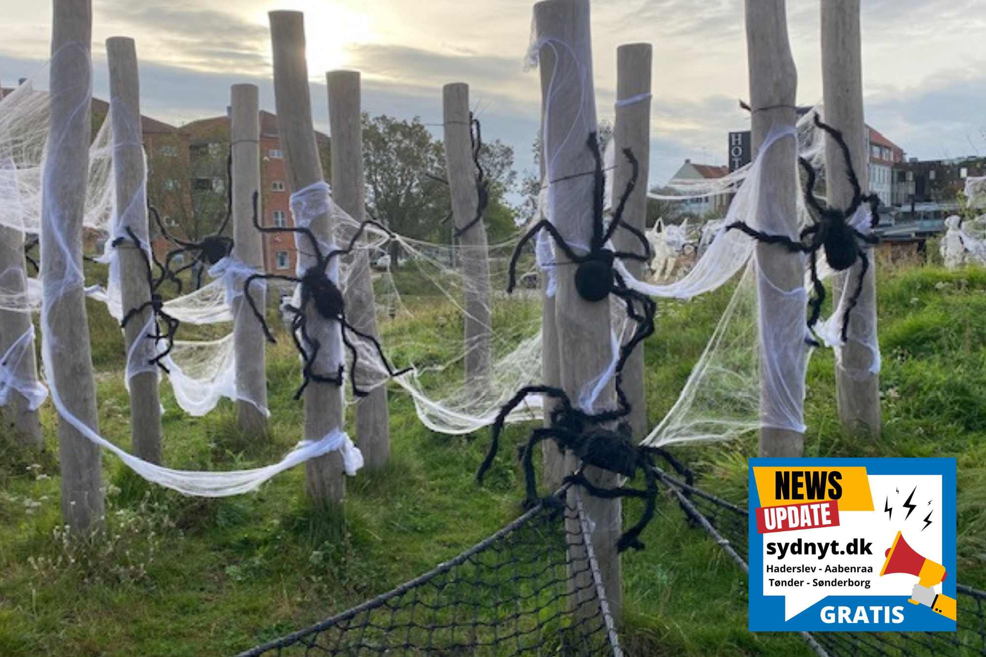 Edderkopper har invaderet sønderjysk by - Sydnyt.dk - GRATIS lokale ...