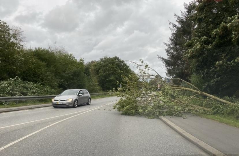 Stormvejr: Hold dig opdateret, inden du kører - Sydnyt.dk - GRATIS lokale nyheder fra Sønderjylland
