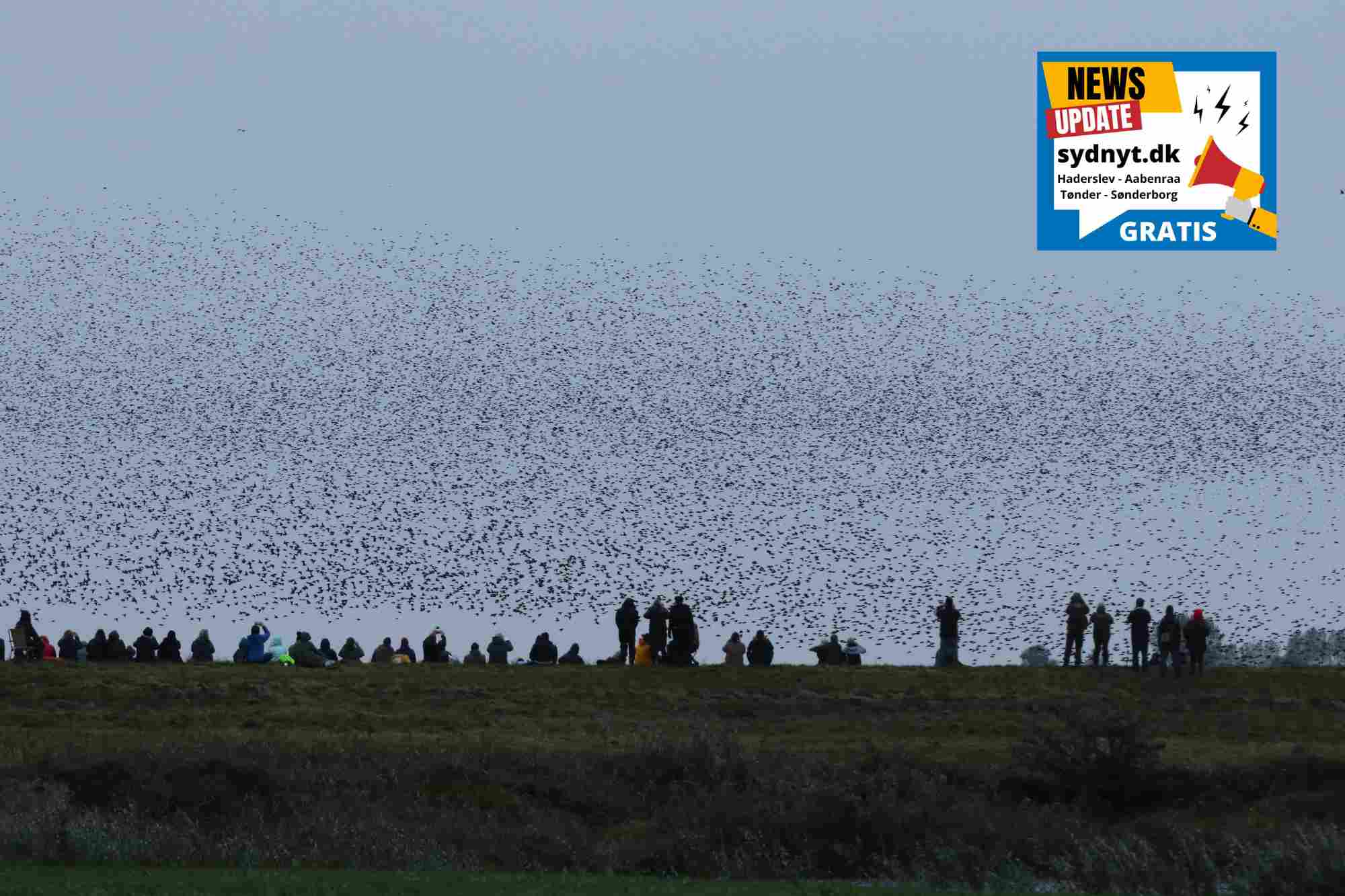 - Sort Sol, det starter på lørdag... - Sydnyt.dk - din GRATIS lokale ...