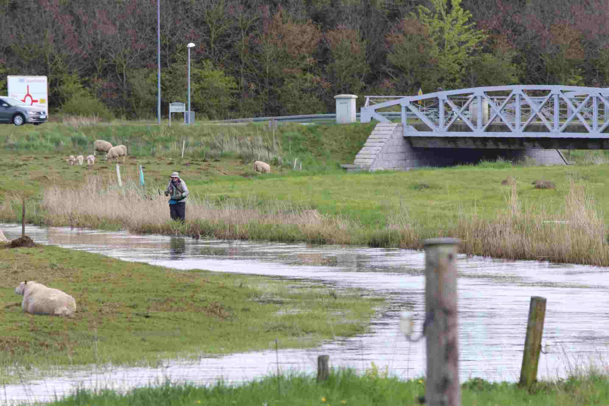 Brede Å - Lystfiskerne har fanget laks på op til 103 cm - se ...