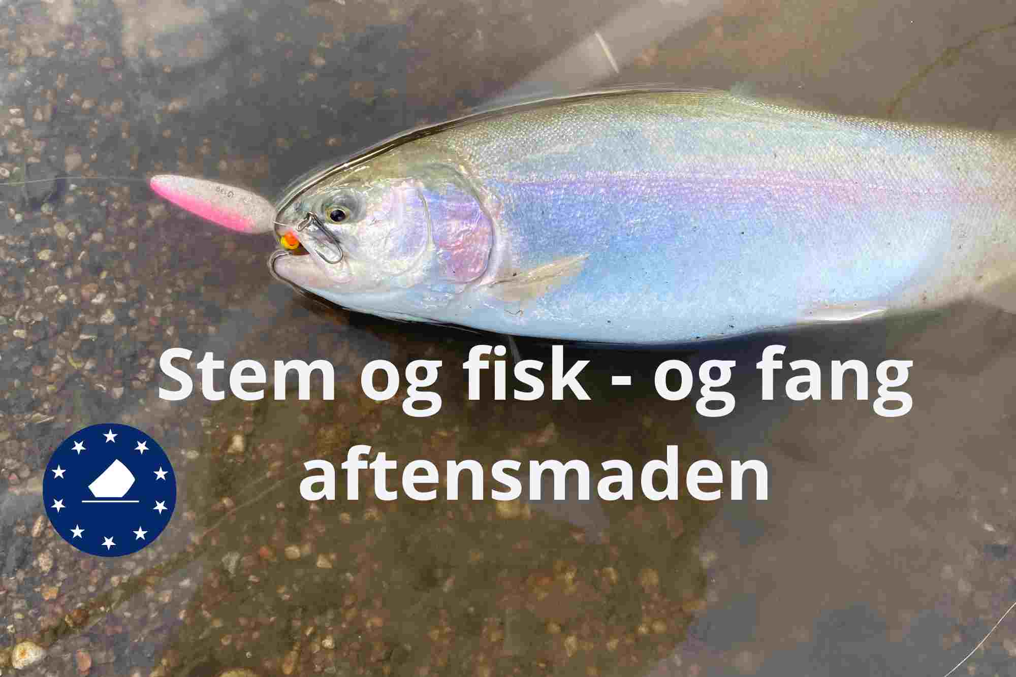 EU-valg i dag: Stem og tag ud med fiskestangen og fang aftensmaden ...