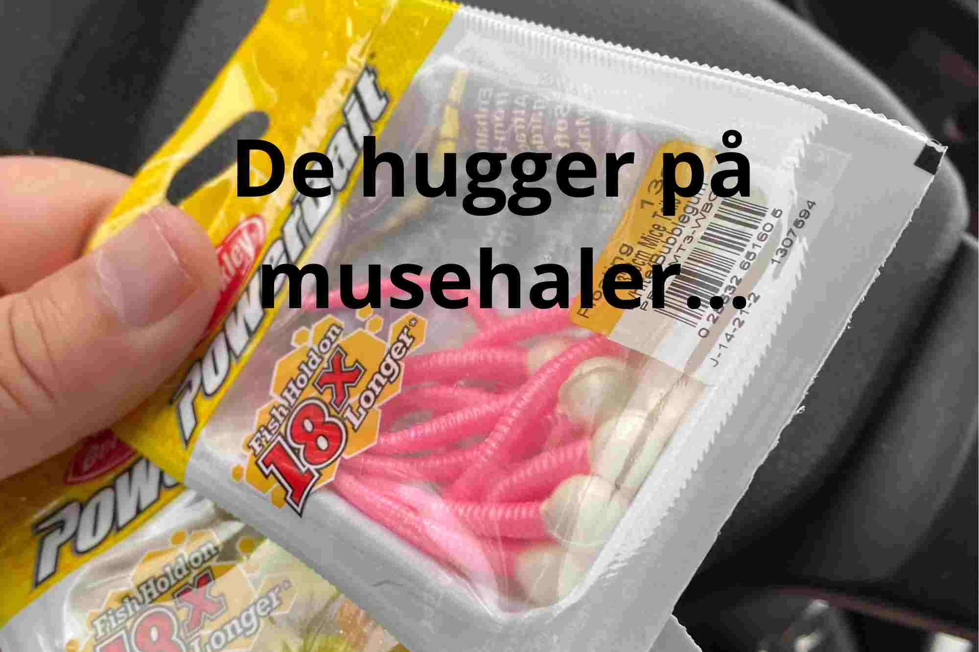 Lystfiskeri: Ørrederne huggede på musehaler lørdag morgen i Mjøls ...