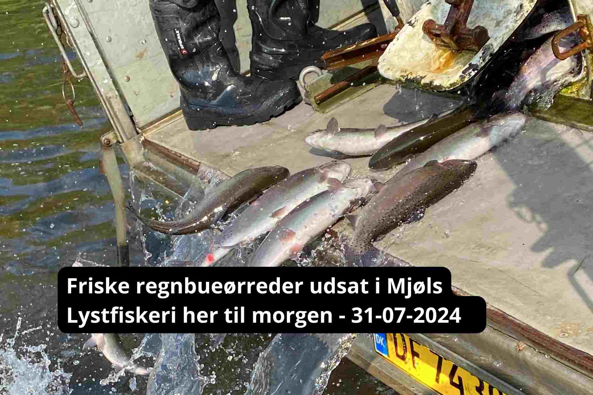 - Tag ud og fang grillmaden i Mjøls Lystfiskeri i Rødekro i dag - Der ...