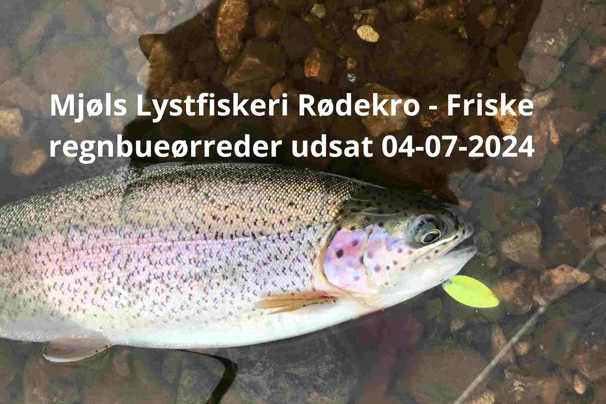 Ferietid forude: - Tag børnene og fiskestangen med i Mjøls Lystfiskeri ...