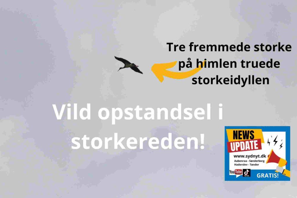 Vild panik i storkereden i Jejsing ved Tønder mandag eftermiddag - Sydnyt.dk - GRATIS lokale ...