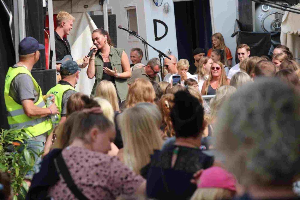 Hvordan bruger sønderjyderne kulturlivet? Borgerne i Aabenraa ...