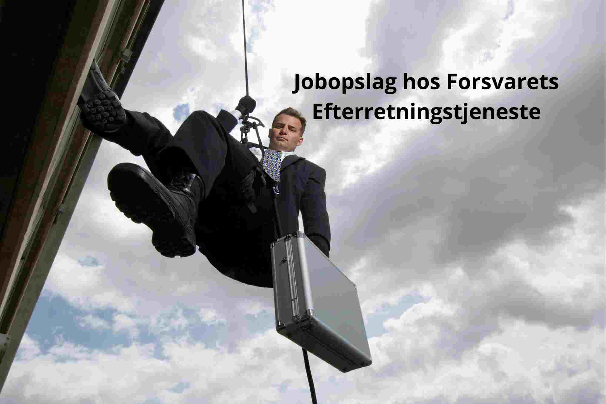 Jobopslag: - Vil du hjælpe Forsvarets Efterretningstjeneste med at ...