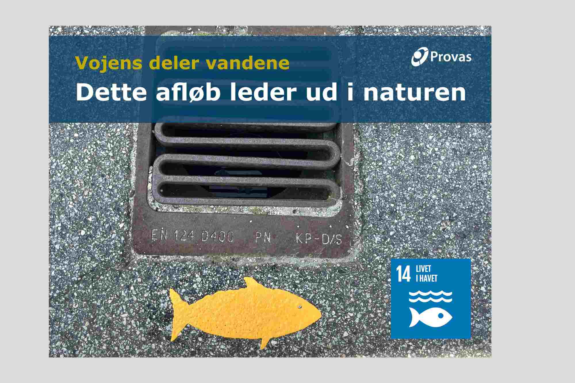 Den er gået helt i fisk for Provas i Haderslev - Sydnyt.dk - GRATIS ...