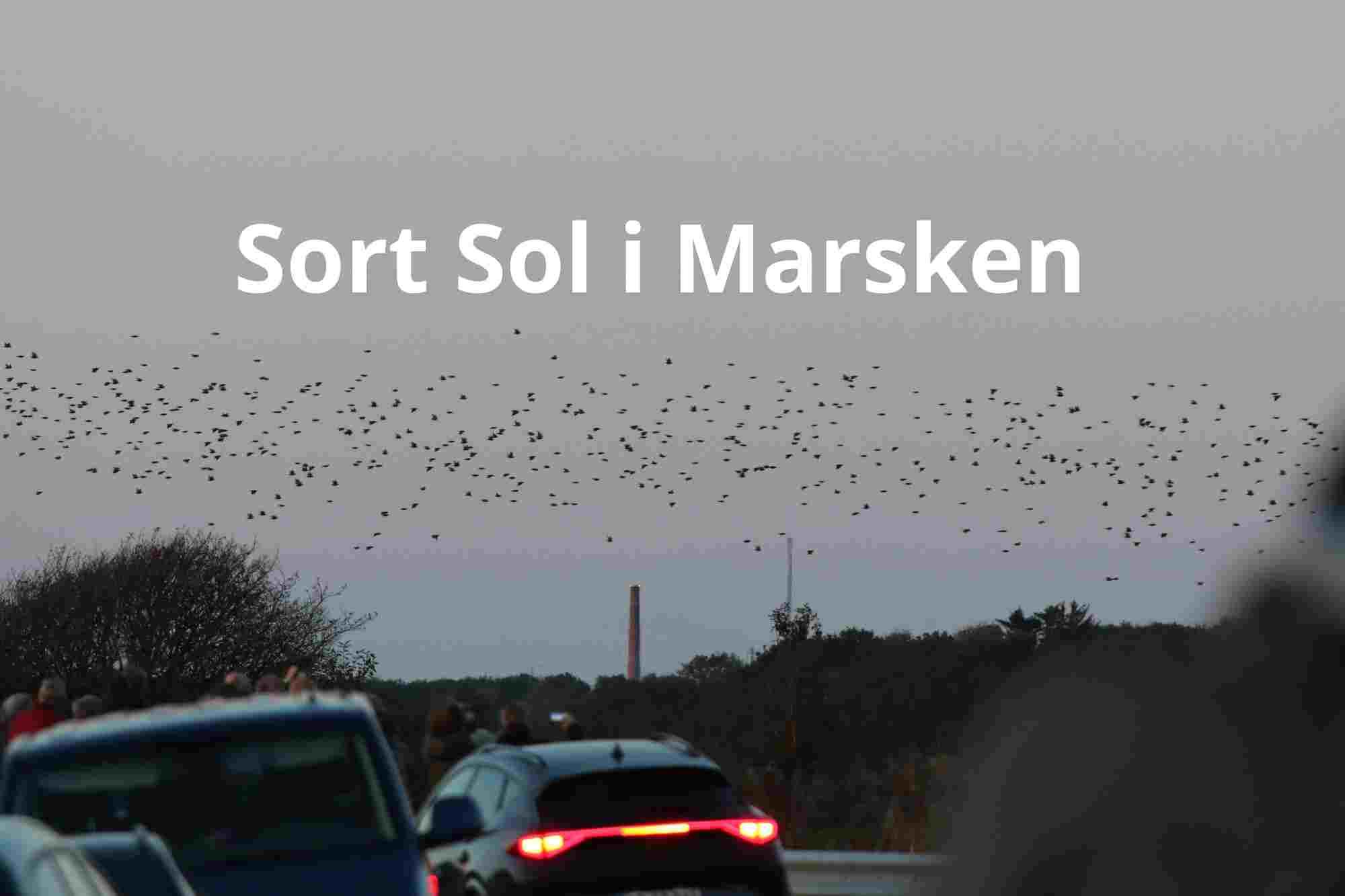 Sort Sol over Marsken skaber liv i efterårsferien - Sydnyt.dk - GRATIS ...