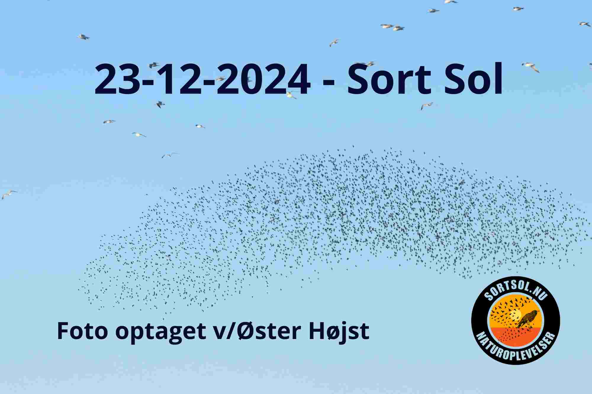 Sort Sol i slutningen af december måned - Sydnyt.dk - GRATIS lokale ...