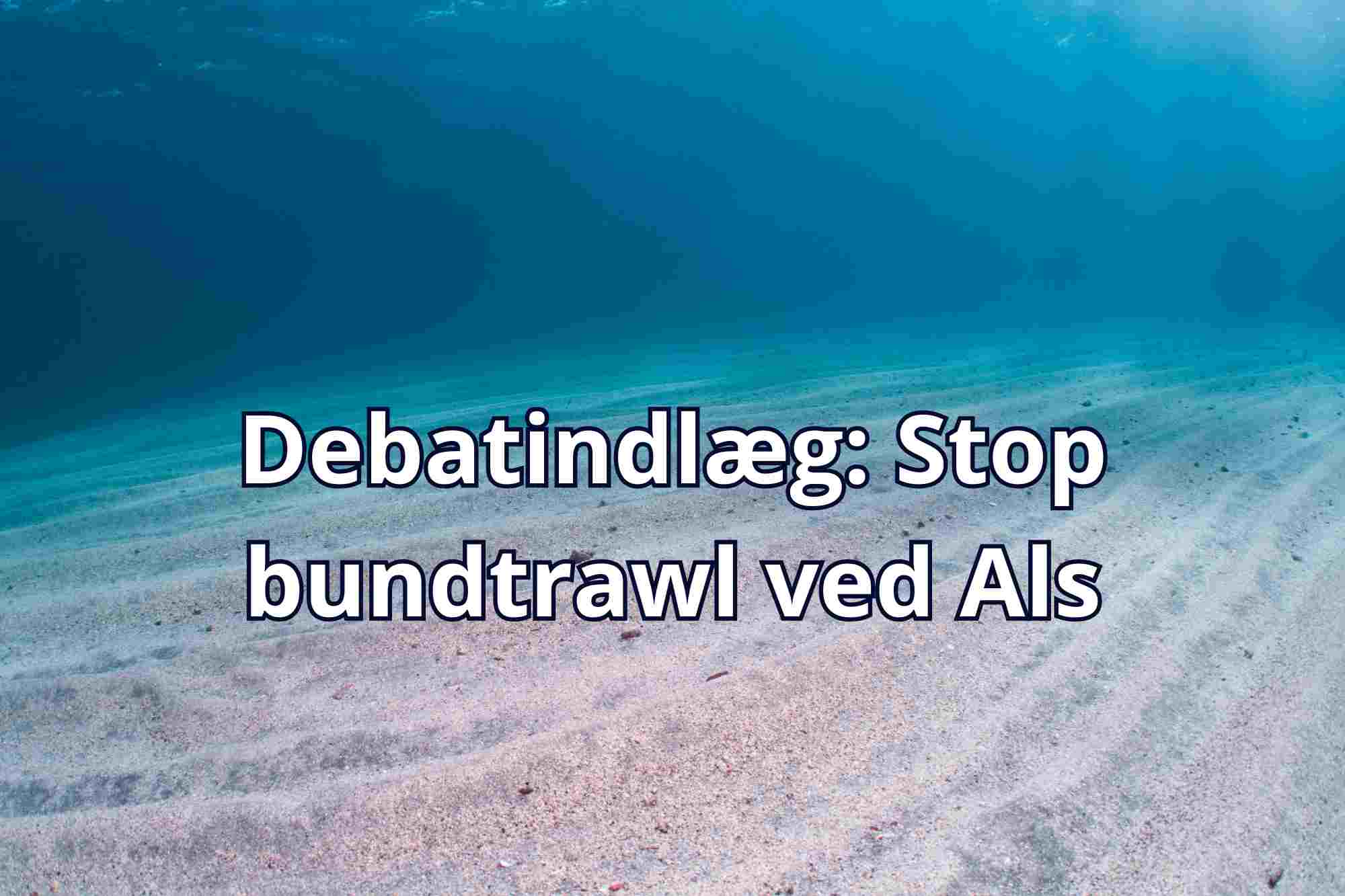 Debatindlæg: Stop bundtrawl for at redde havet omkring Als - Sydnyt.dk ...