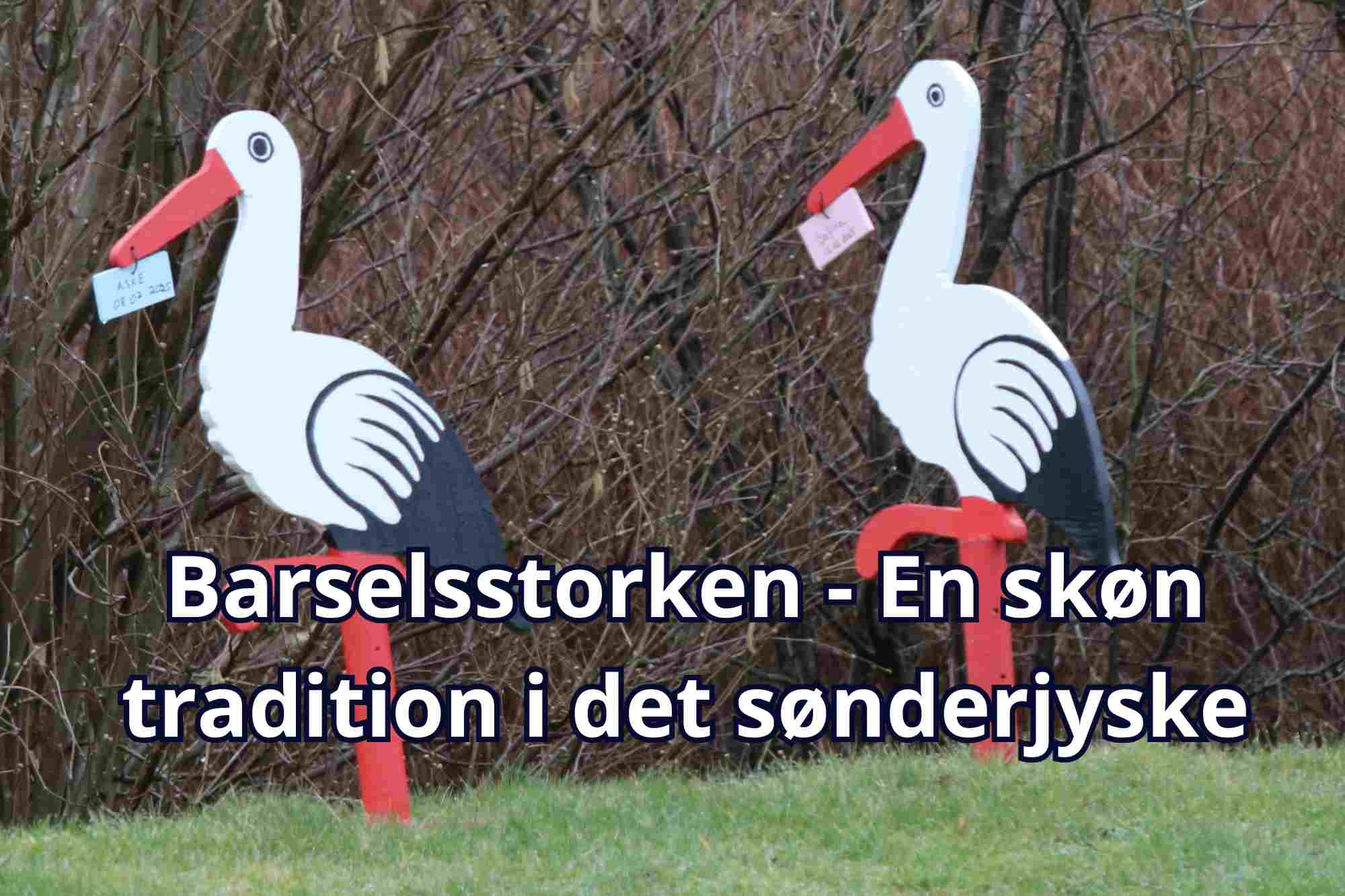 Barselsstorke - En skøn tradition i det sønderjyske - Sydnyt.dk ...
