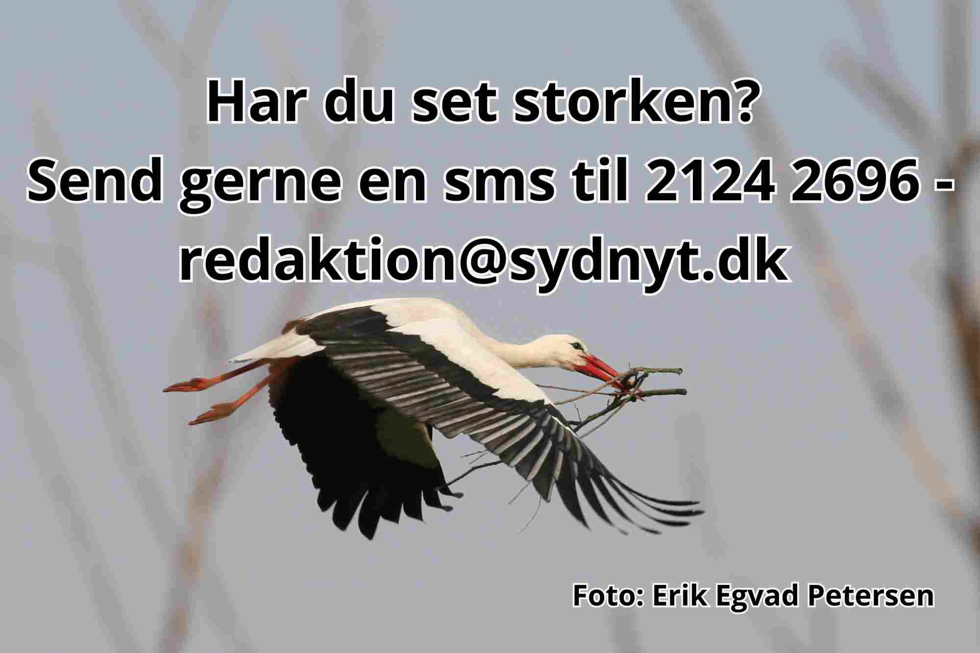 - Har du set storken? Storkemeldinger efterlyses - Sydnyt.dk - GRATIS ...