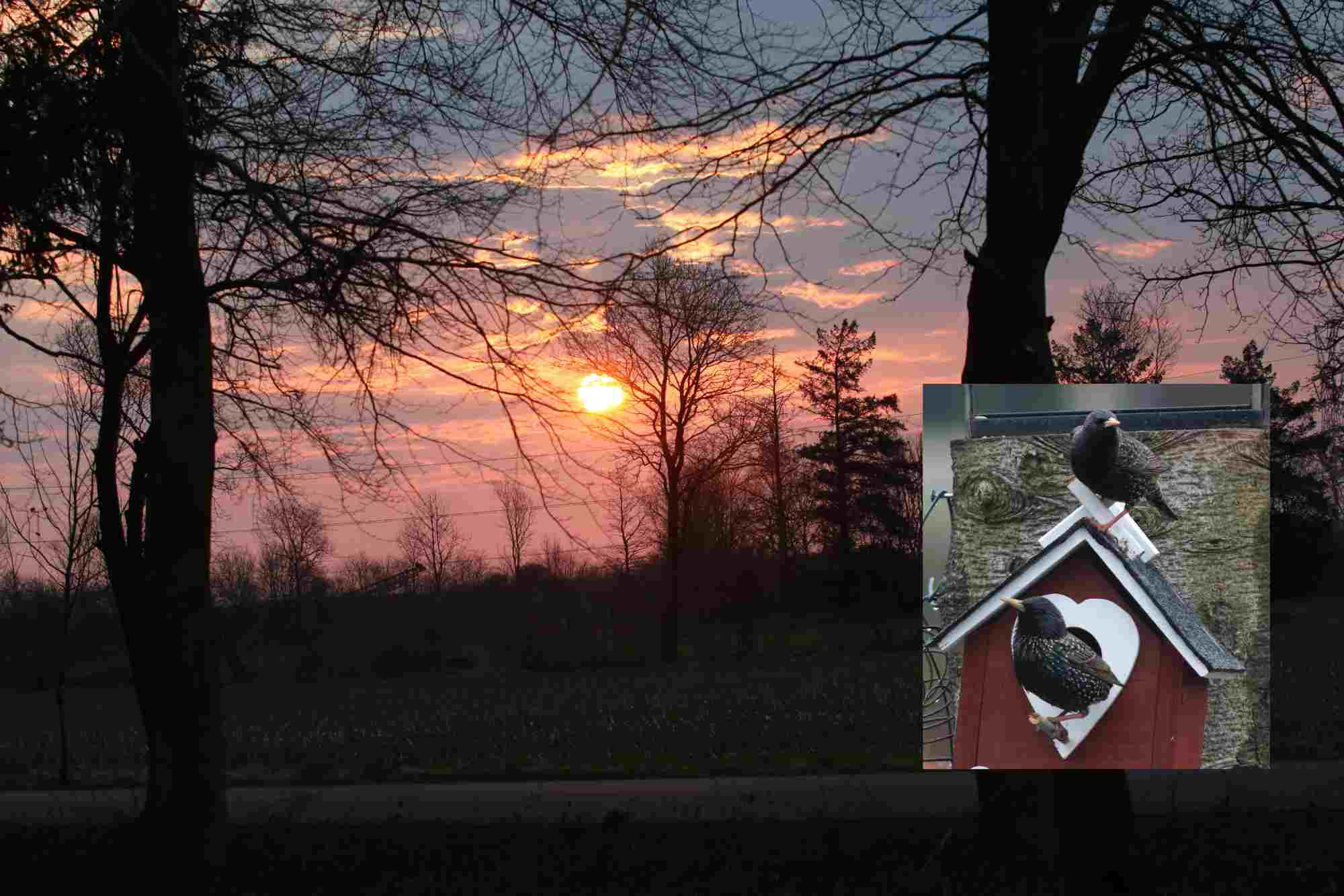 Søndag morgen med kort solopgang - Sydnyt.dk - GRATIS lokale nyheder ...