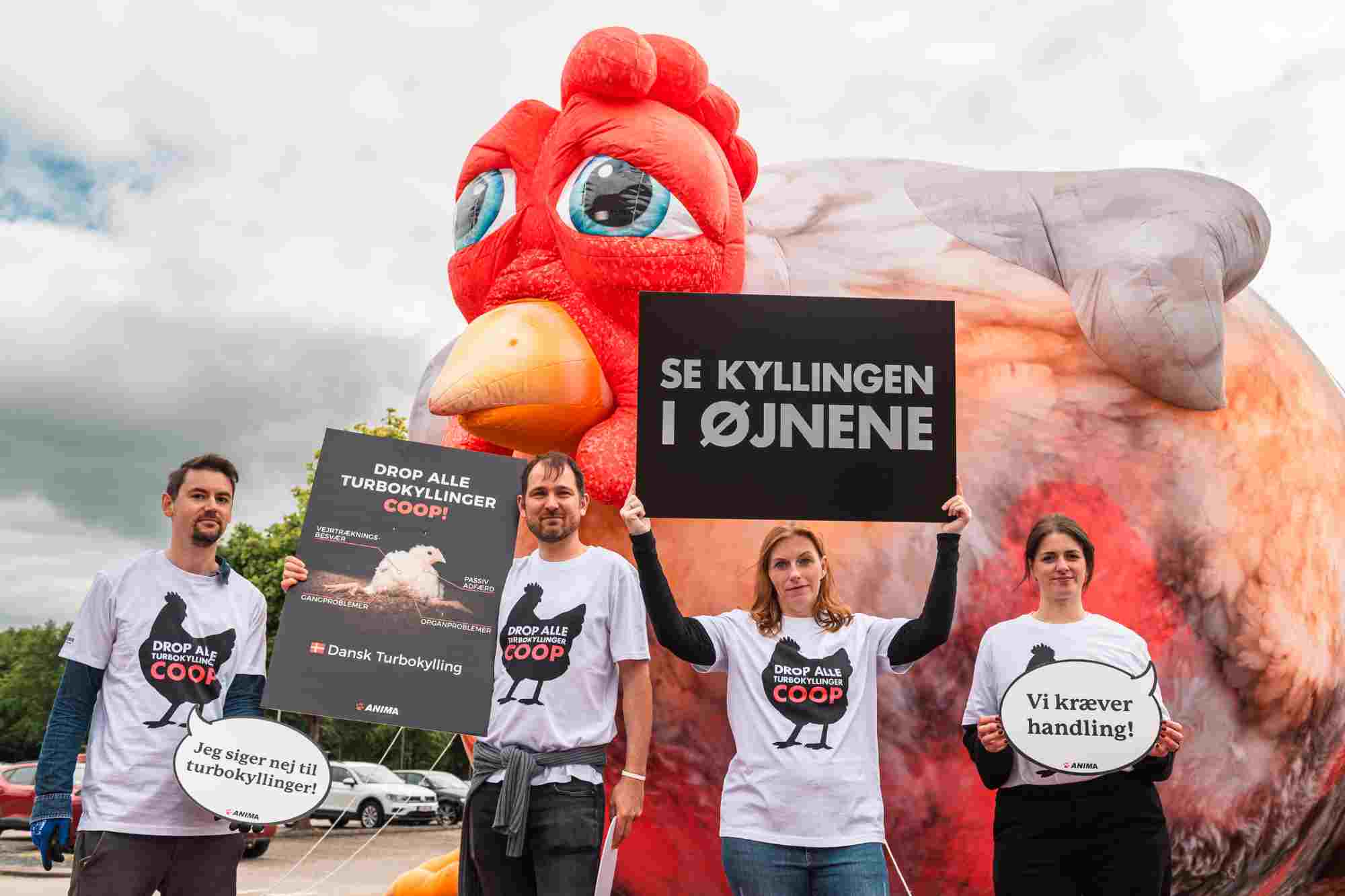 Kylling med øjne så store som indkøbskurve chokerer til Coop’s ...