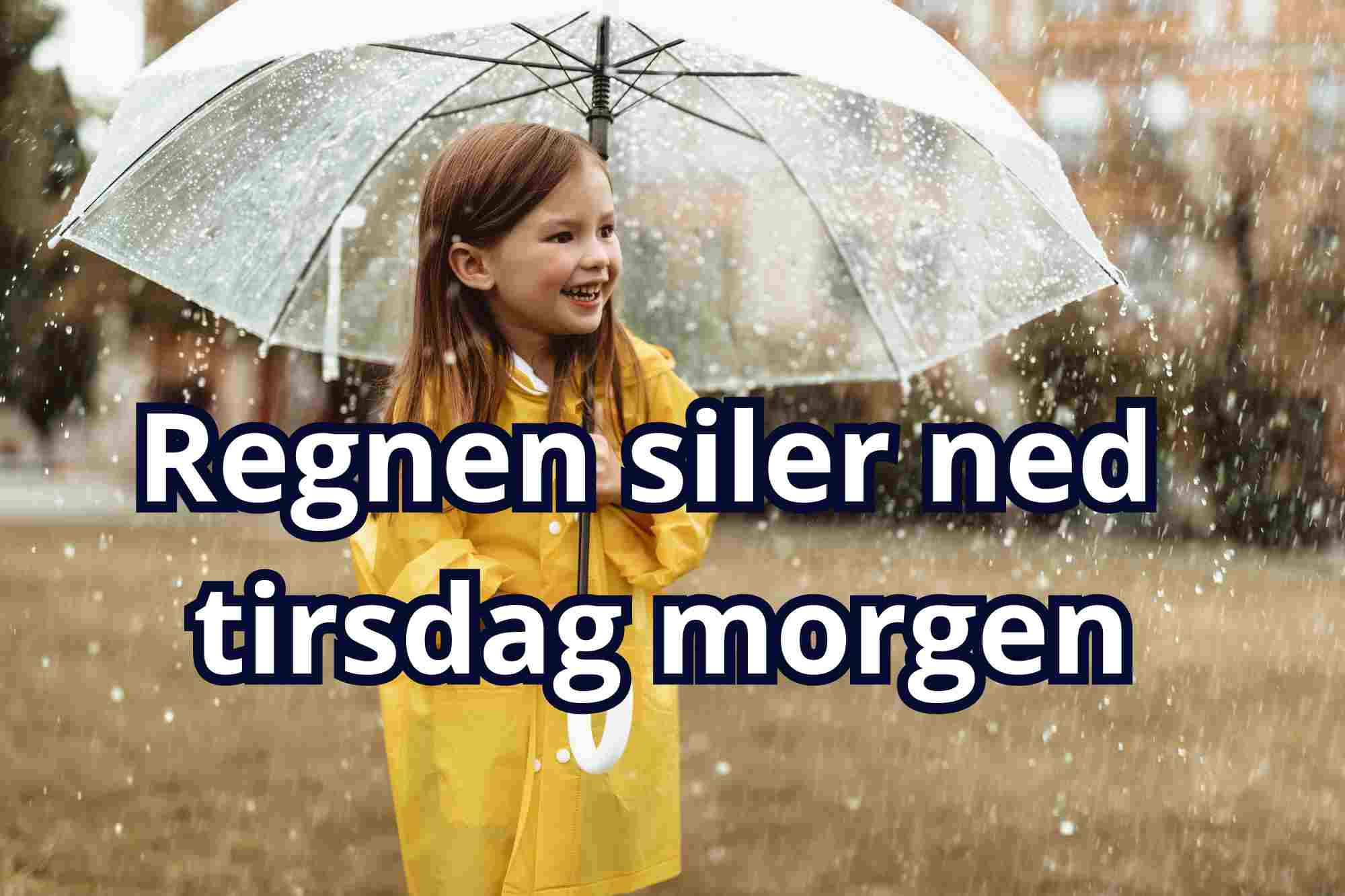 Regnen siler ned i det sønderjyske lige nu - DMI = 65 mm regn på vej - Sydnyt.dk - GRATIS lokale ...