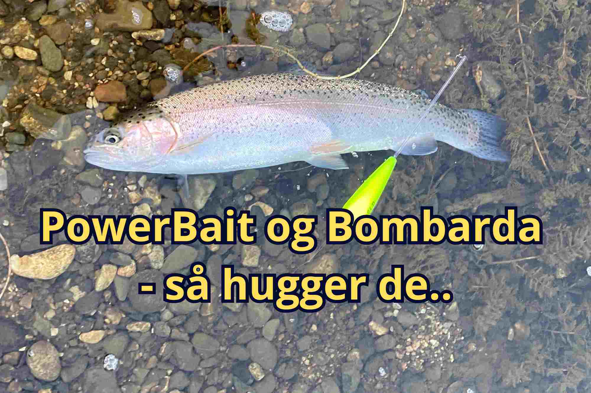 Mjøls Lystfiskeri i Rødekro - her kan du fange din fisk til middag og ...