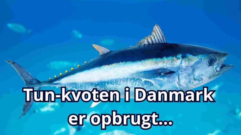 Årets lystfiskeri af tun i dansk farvand 2025 er nu afsluttet - Der ...