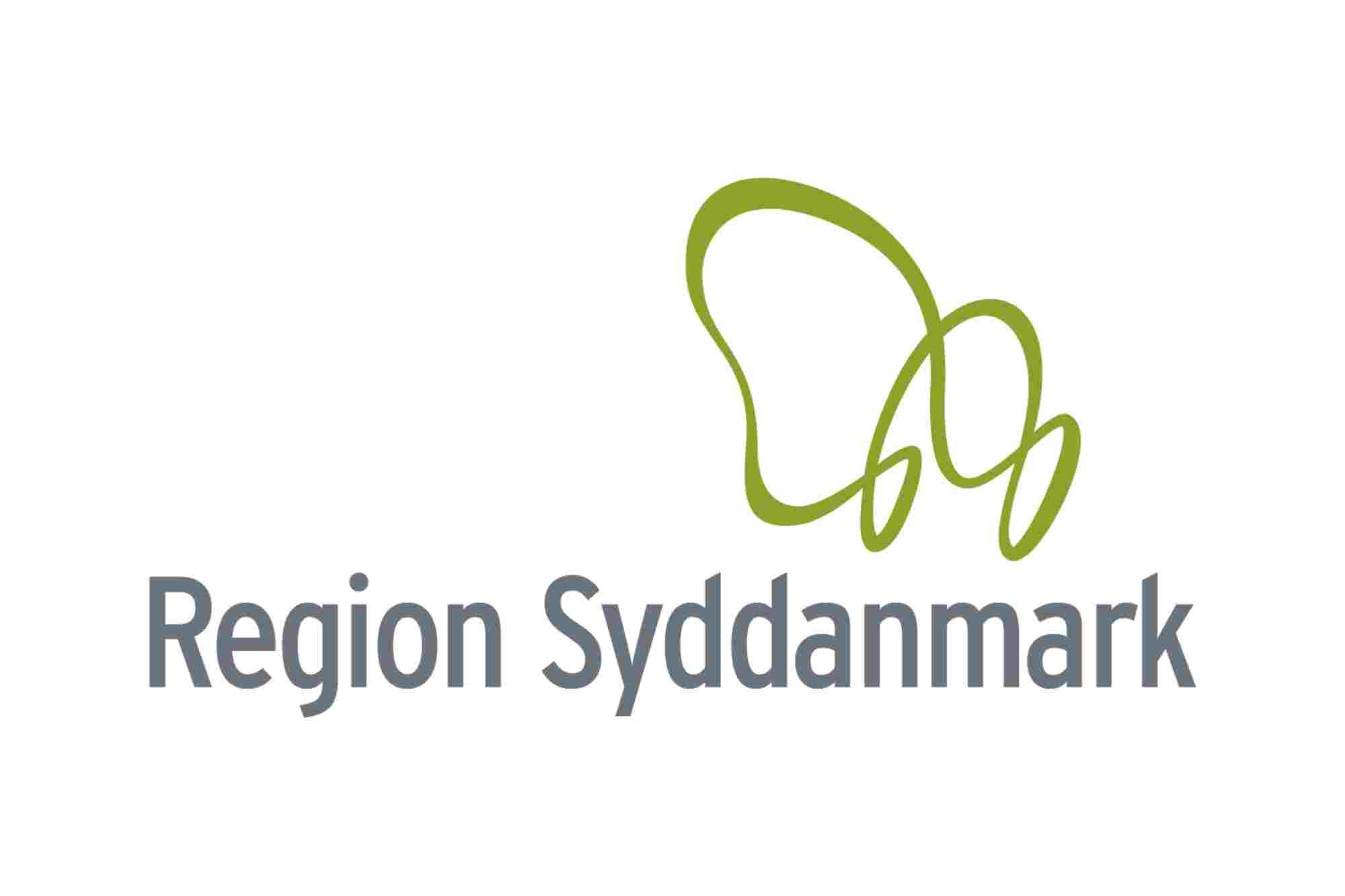 Region Syddanmark: Valgbestyrelsen har godkendt regionalvalget - Se her hvor mange personlige ...